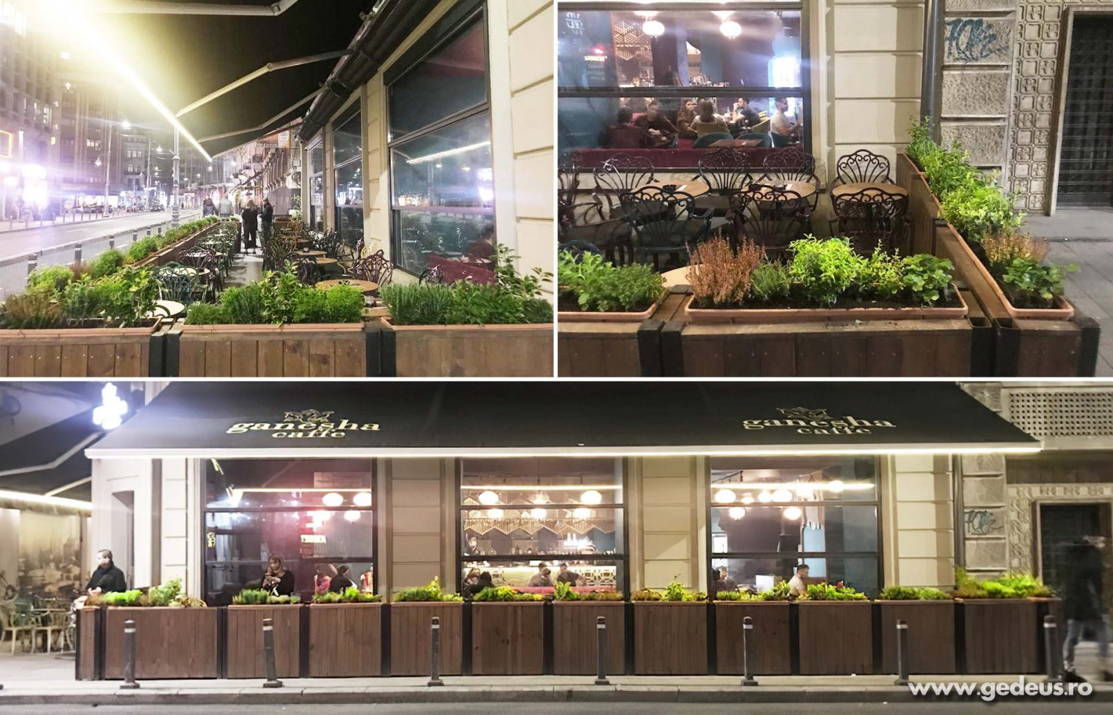 Terasă Ganesha Caffe, Calea Victoriei - GEDEUS | Amenajări Grădini